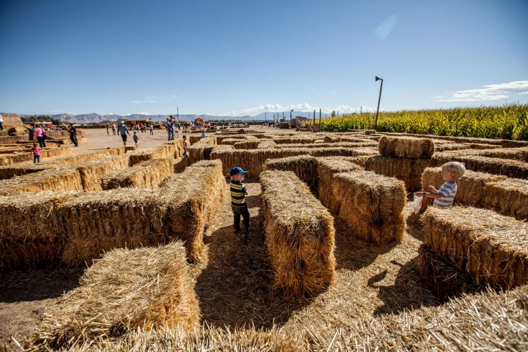 Get Your Tickets | Studt Farms