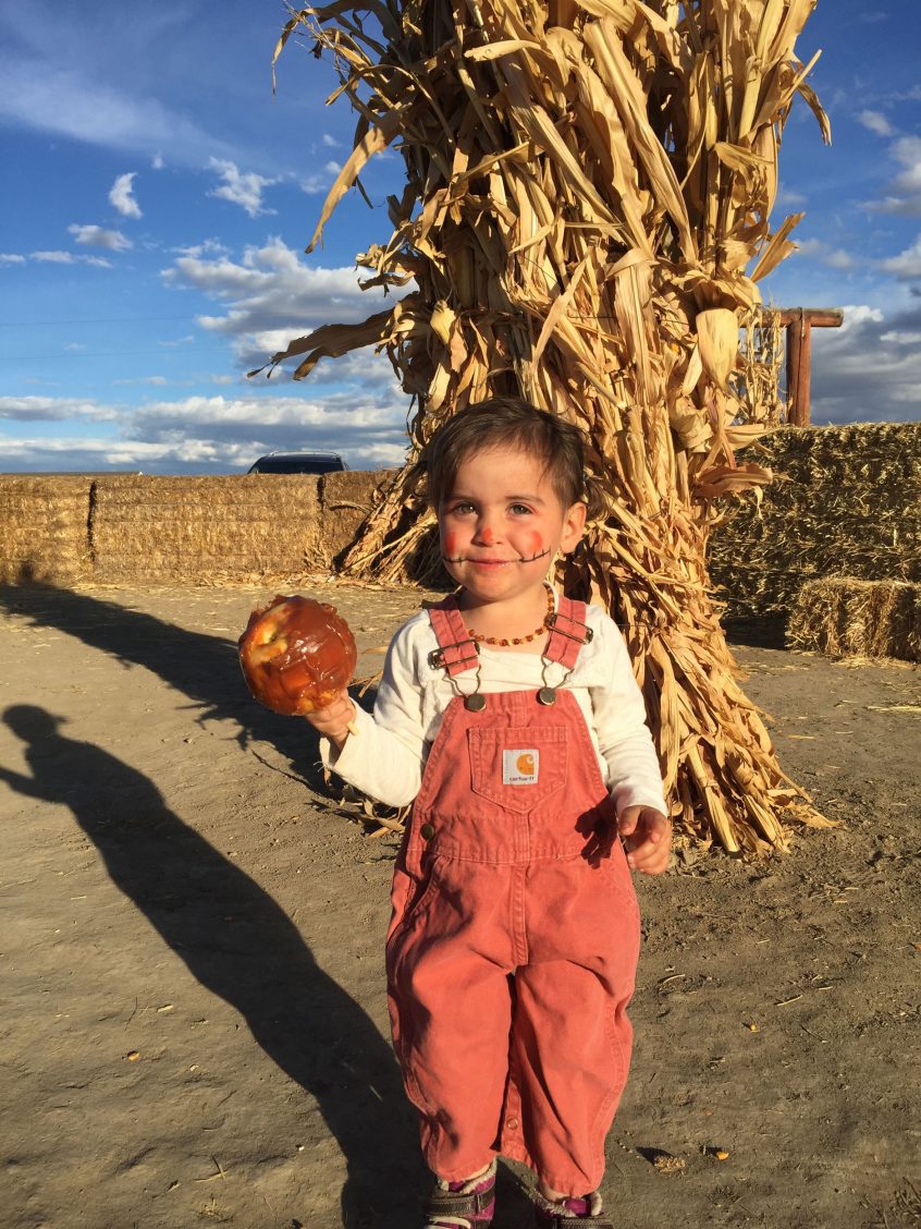 fest-2 | Studt Farms