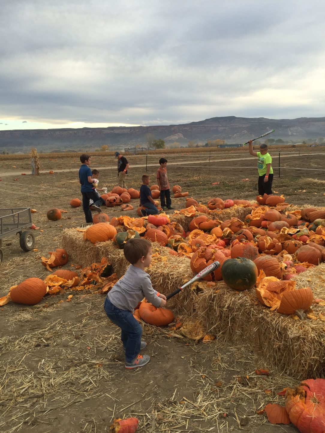 PumpkinFest | Studt Farms