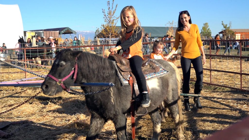 Activites | Studt Farms